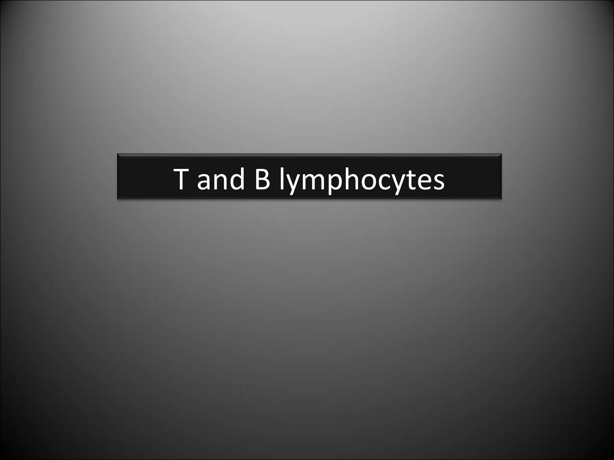 Lymphocytes Ppt