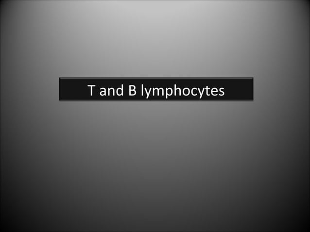 Lymphocytes | PPT | Genetics | Science