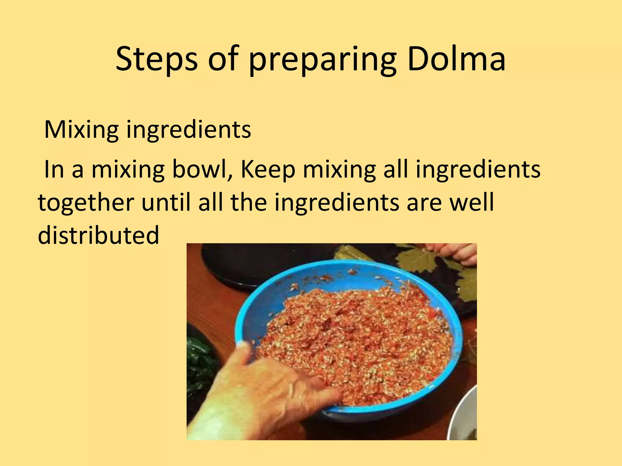 The Kurdish Dolma | PPTX
