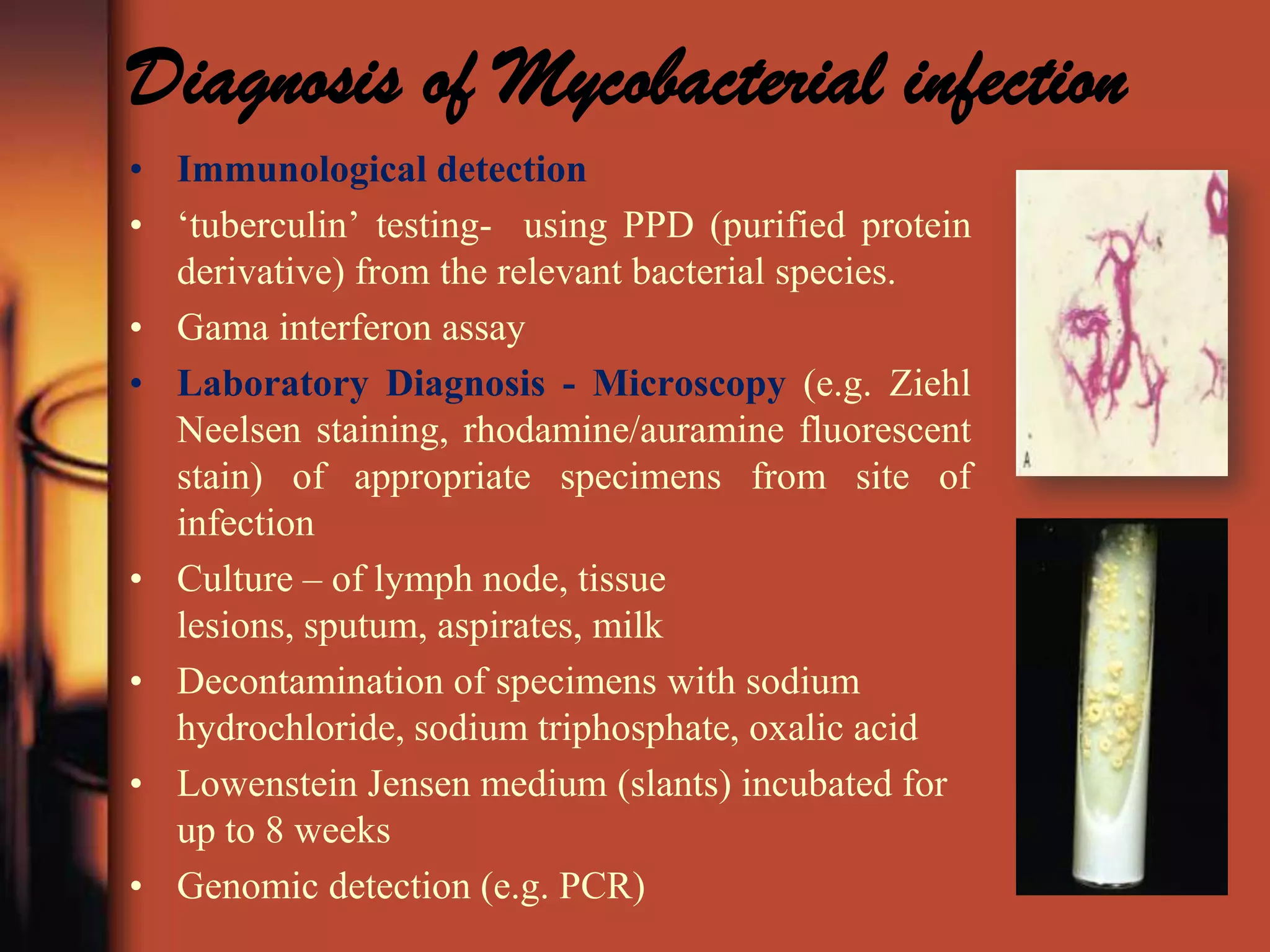 Antitubercular Drugs | PPT