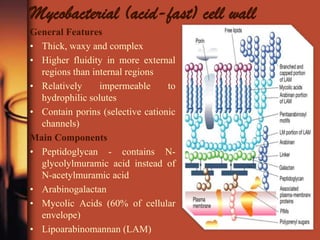 Antitubercular Drugs | PPT