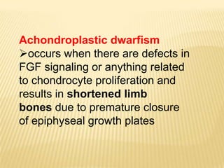 Presentation1.pptx limbs | PPTX