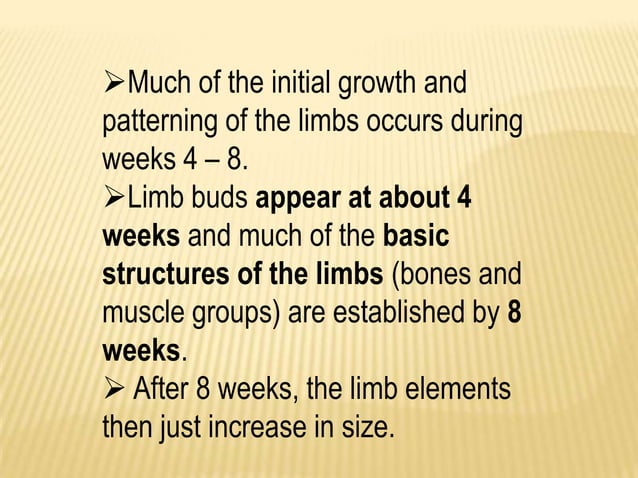 Presentation1.pptx limbs | PPTX