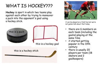 a little guide to hockey | PPTX