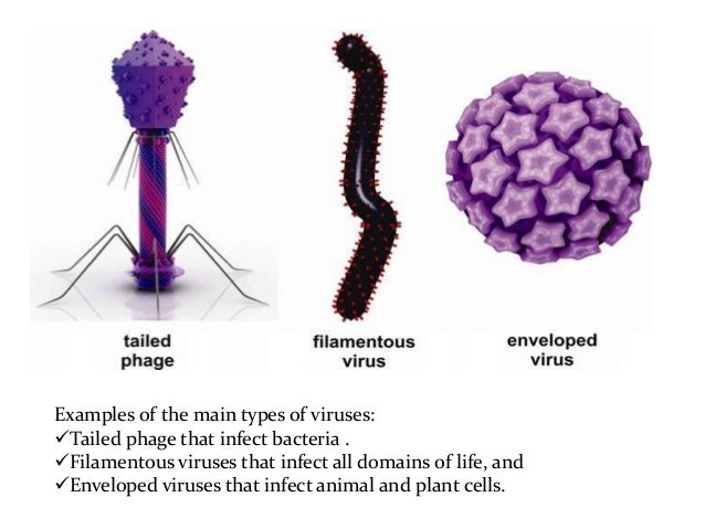 Project presentation