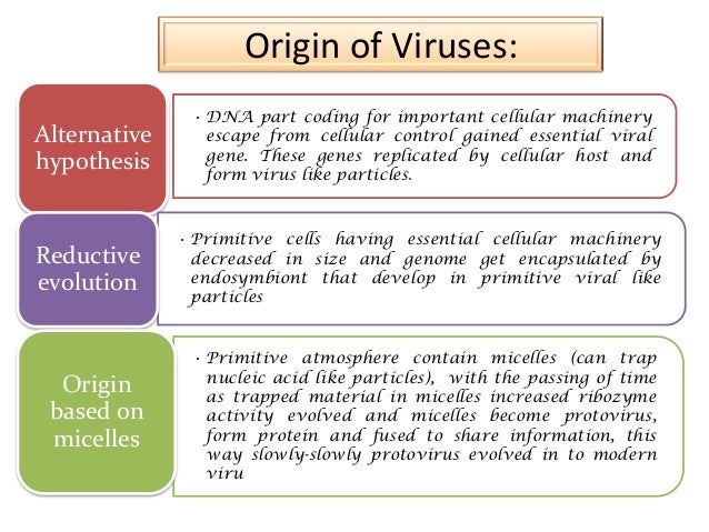 Project presentation
