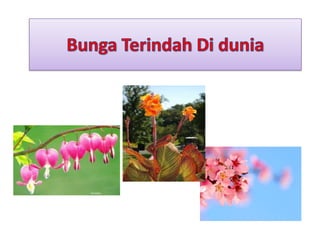 Bunga Terindah | PPTX