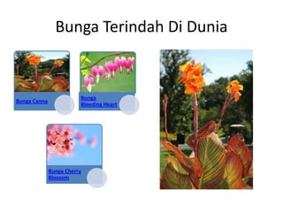 Bunga Terindah | PPTX