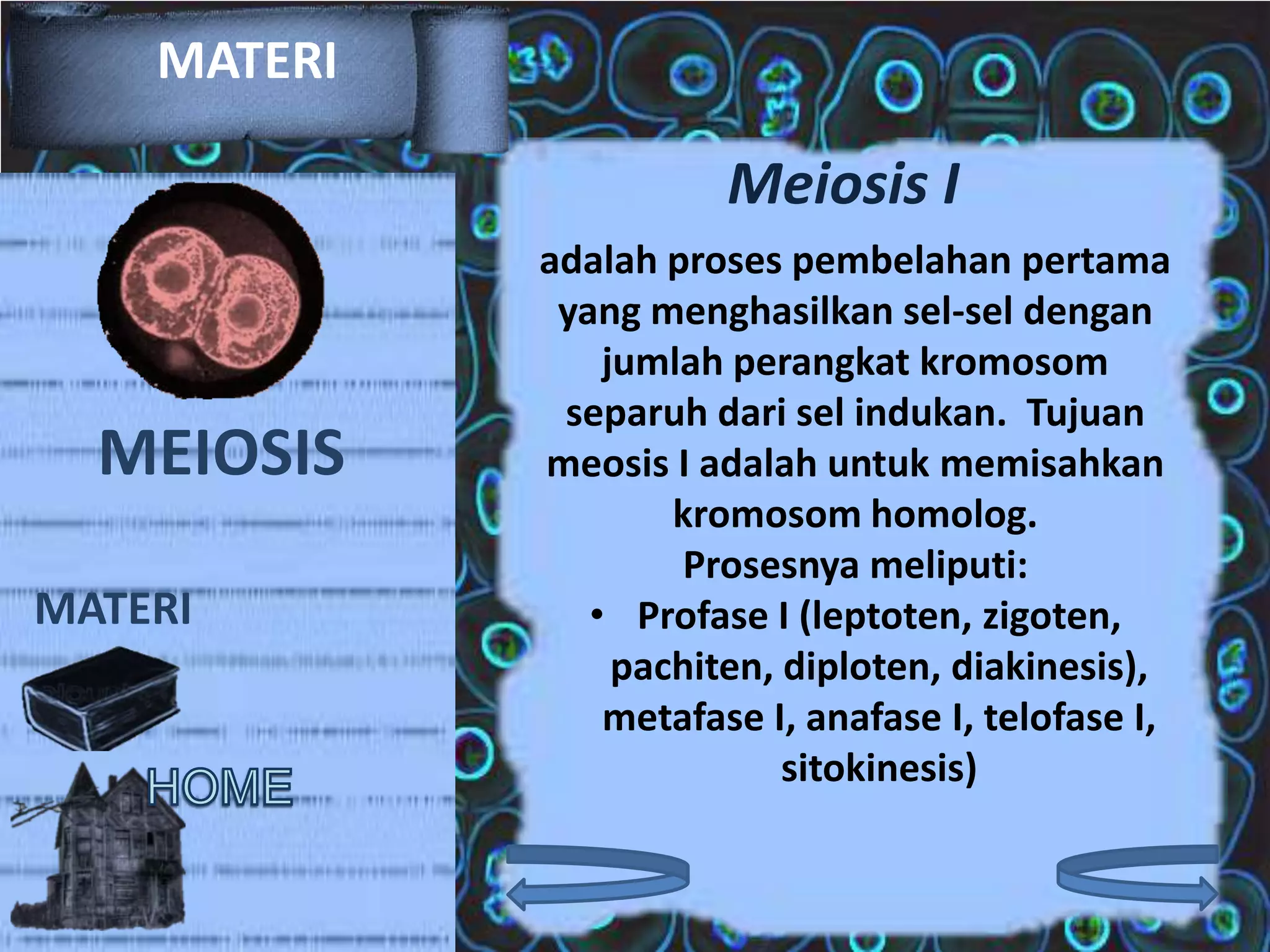 ppt pembelahan sel | PPSX