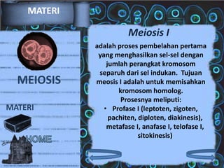 ppt pembelahan sel | PPSX