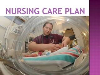 congenital pneumonia | PPTX