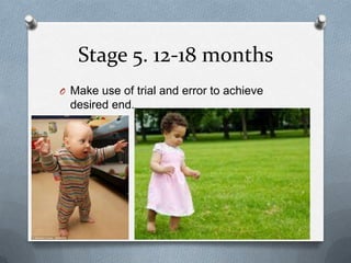 theory of cognitive development -jean piaget- | PPTX