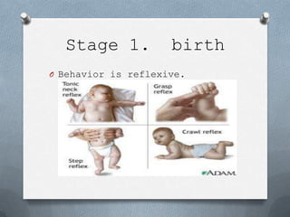 theory of cognitive development -jean piaget- | PPTX