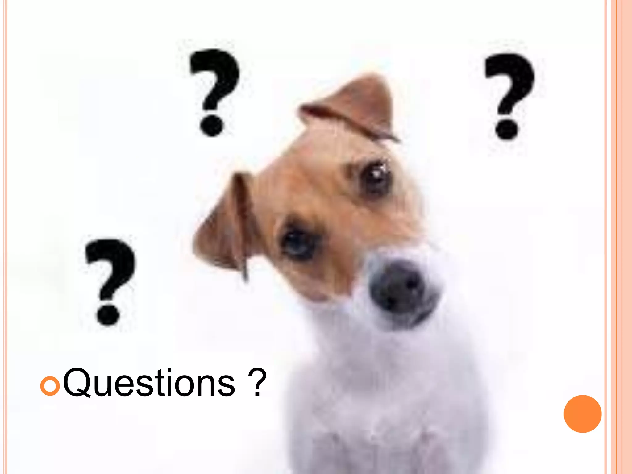 Presentation on Dogs | PPTX