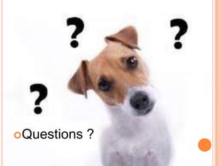 Presentation on Dogs | PPTX