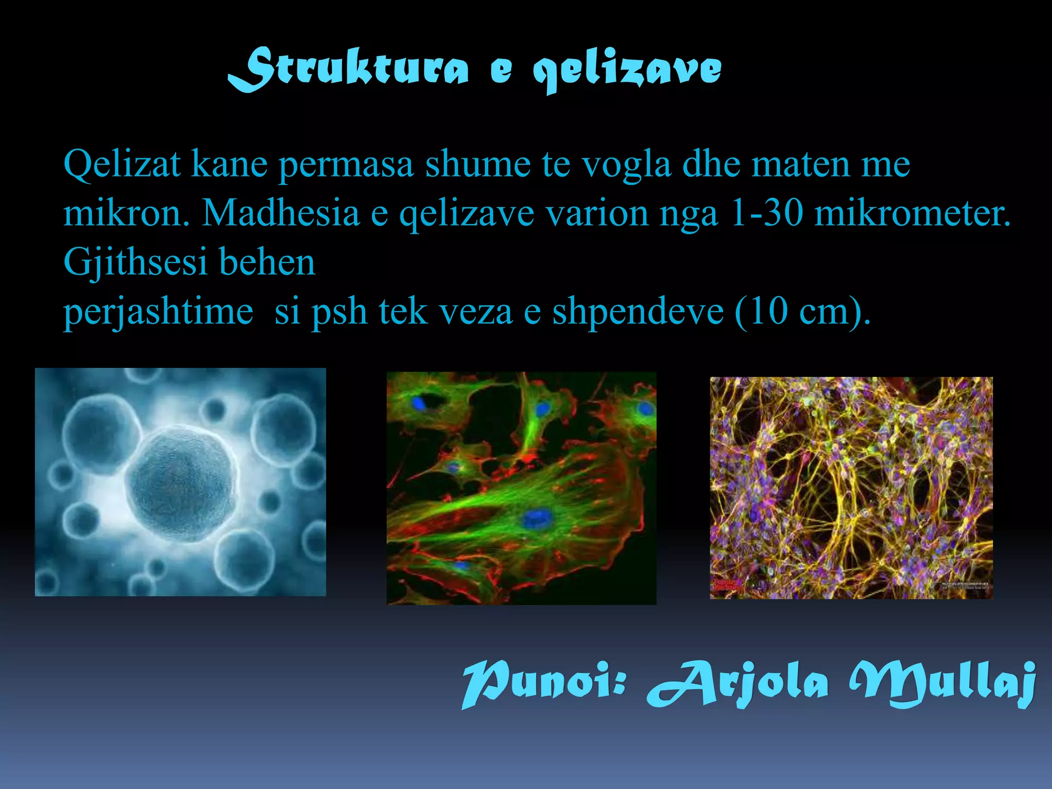 Presentation1 Qeliza dhe ndertimi i saj Arjola Mullai shkolla "Albanet ...