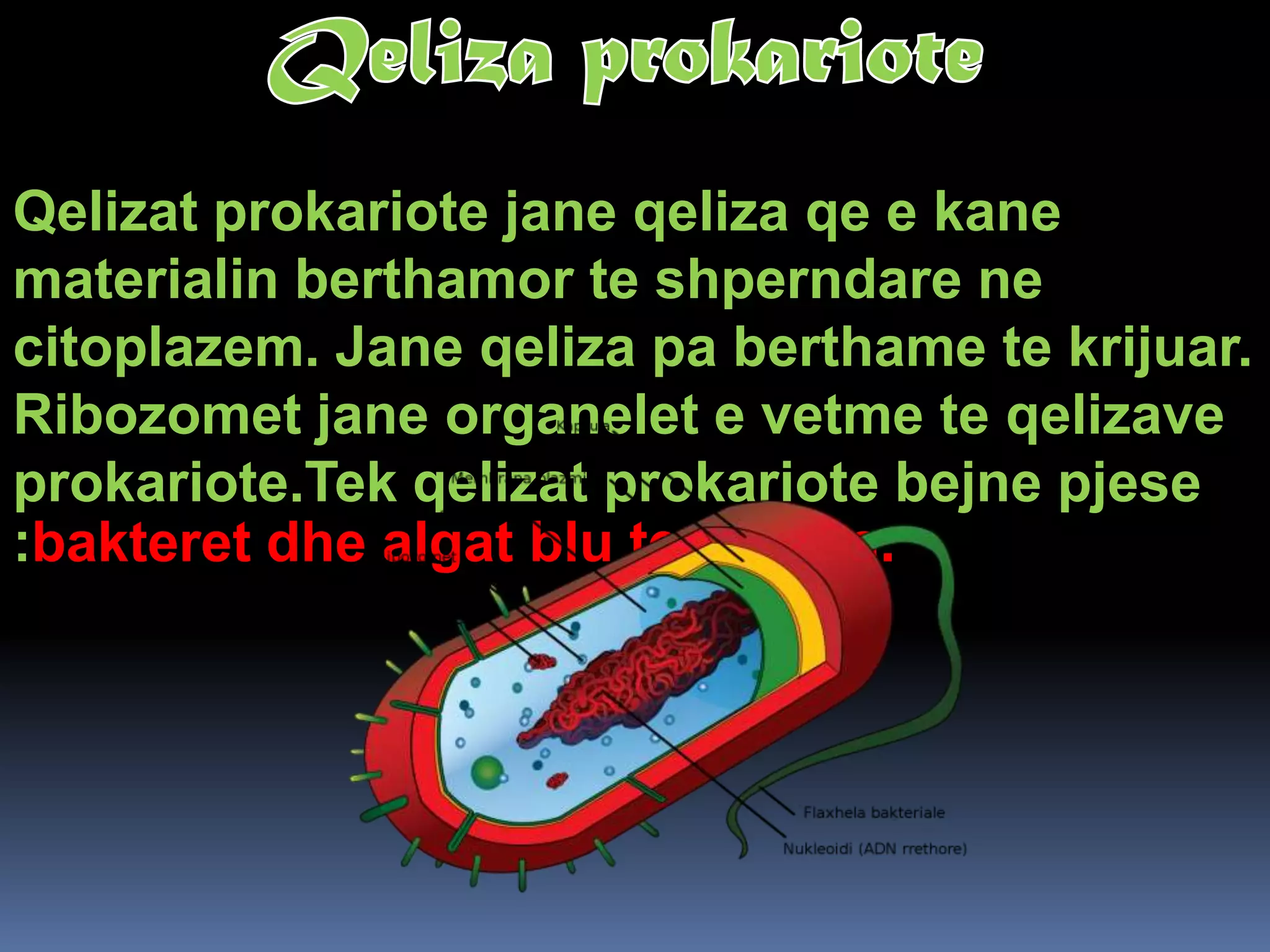 Presentation1 Qeliza dhe ndertimi i saj Arjola Mullai shkolla "Albanet ...