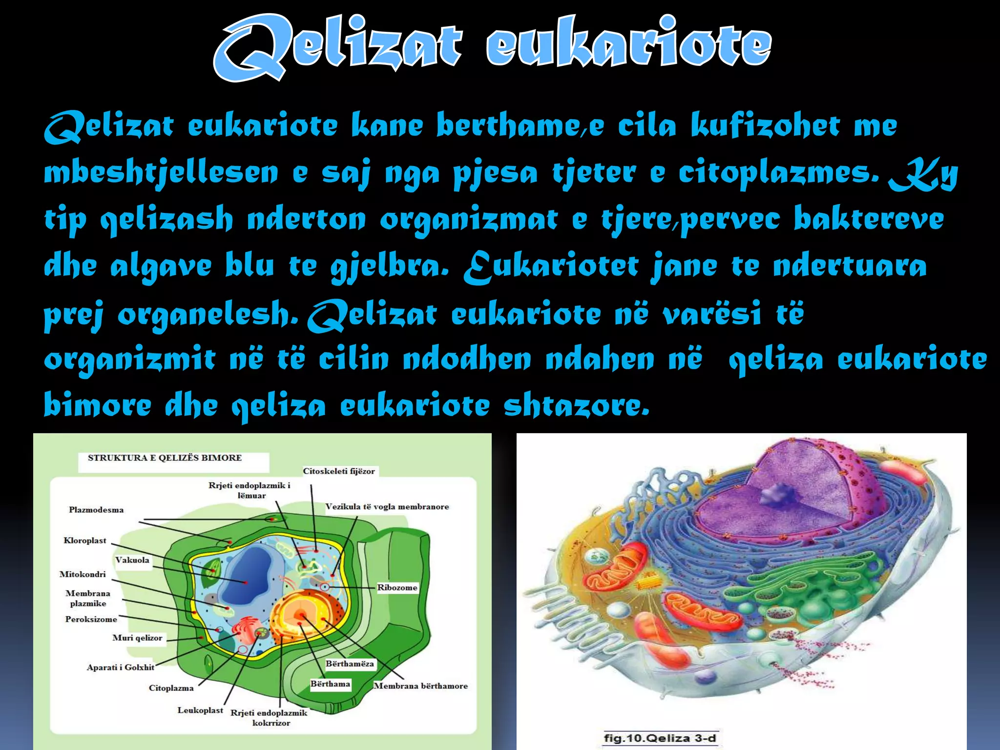 Presentation1 Qeliza dhe ndertimi i saj Arjola Mullai shkolla "Albanet ...