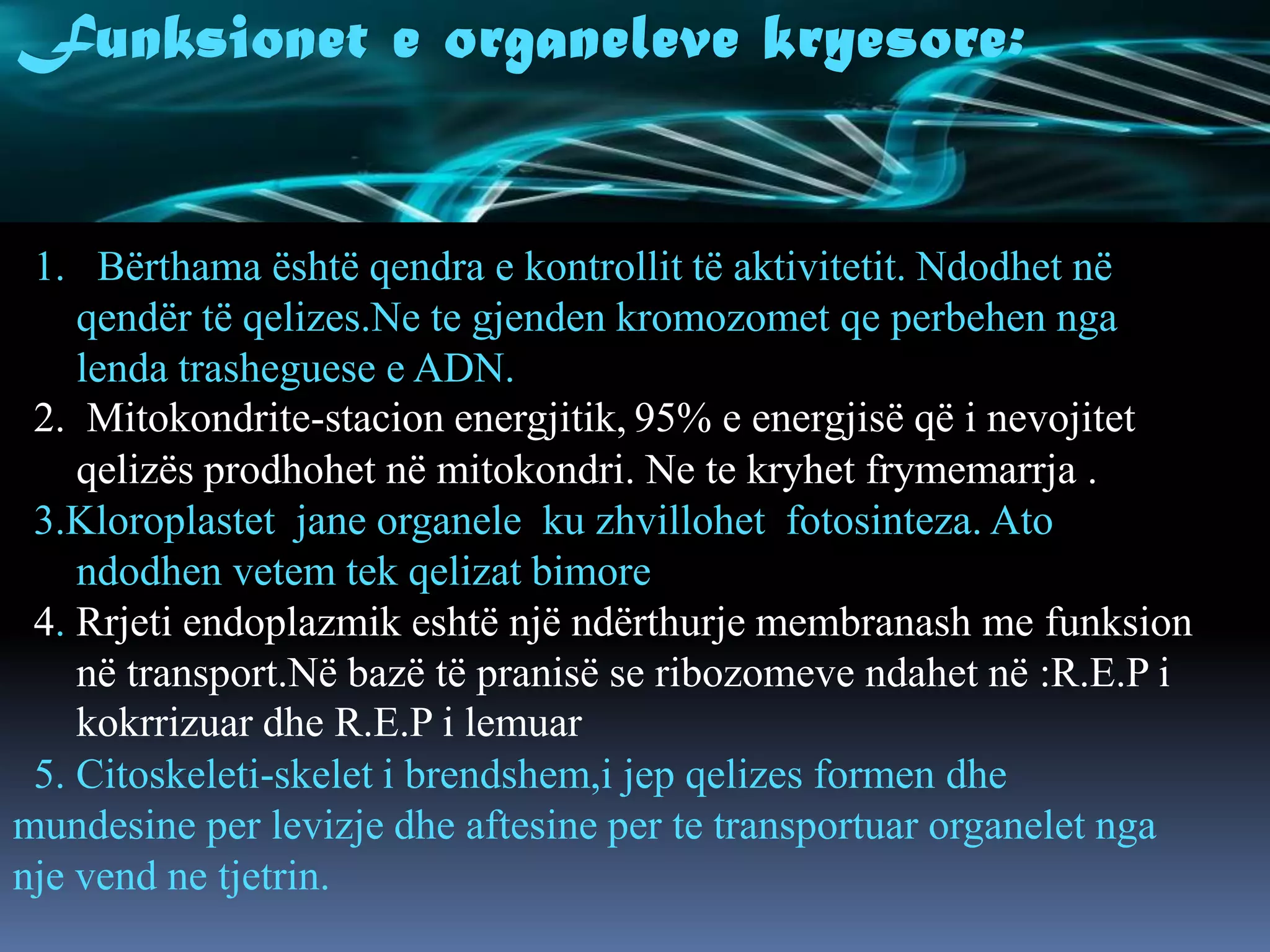 Presentation1 Qeliza dhe ndertimi i saj Arjola Mullai shkolla "Albanet ...