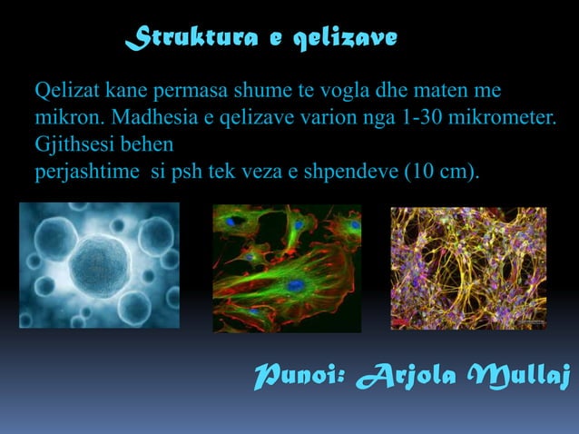 Presentation1 Qeliza dhe ndertimi i saj Arjola Mullai shkolla "Albanet ...