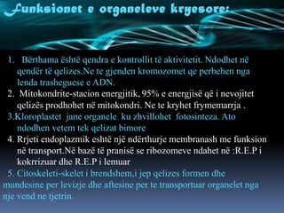 Presentation1 Qeliza dhe ndertimi i saj Arjola Mullai shkolla "Albanet ...