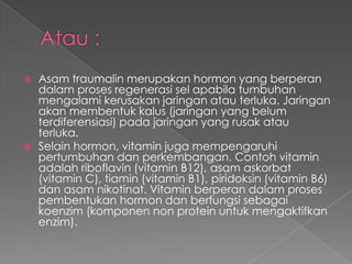 hormon gas etilen,asam absisat, asam traumalin | PPTX