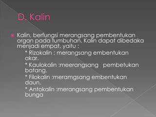 hormon gas etilen,asam absisat, asam traumalin | PPTX