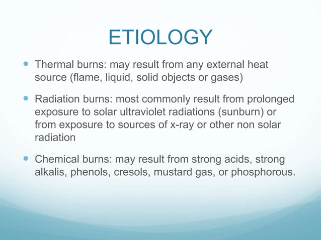 burns ppt. | PPTX