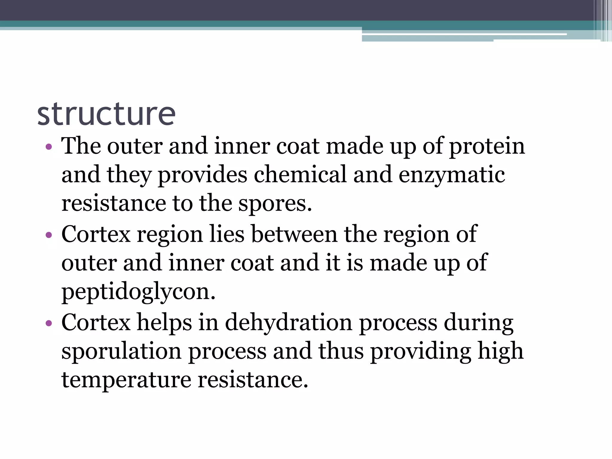 sporulation | PPTX
