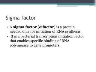 sporulation | PPTX