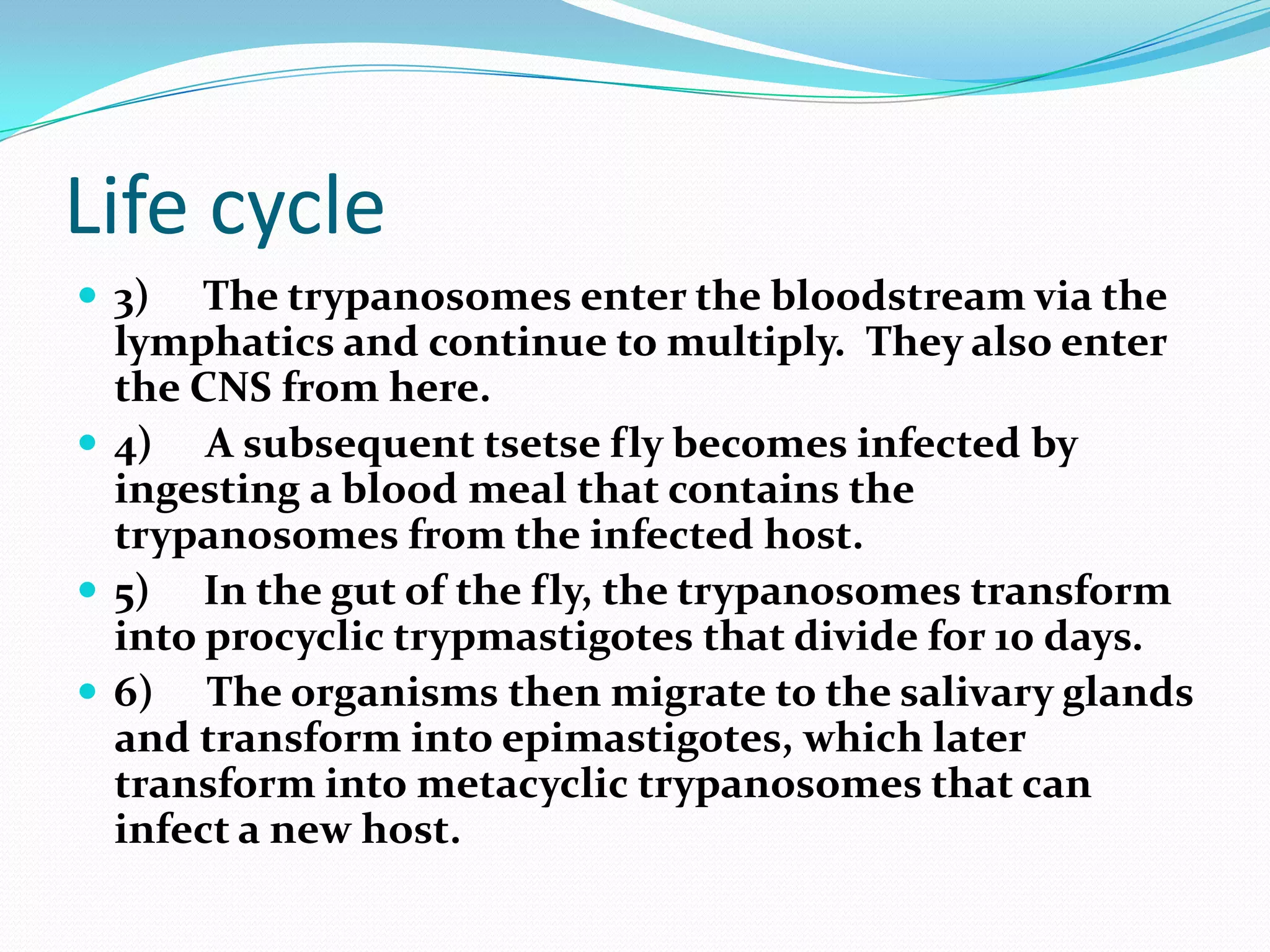 Trypanosoma | PPTX