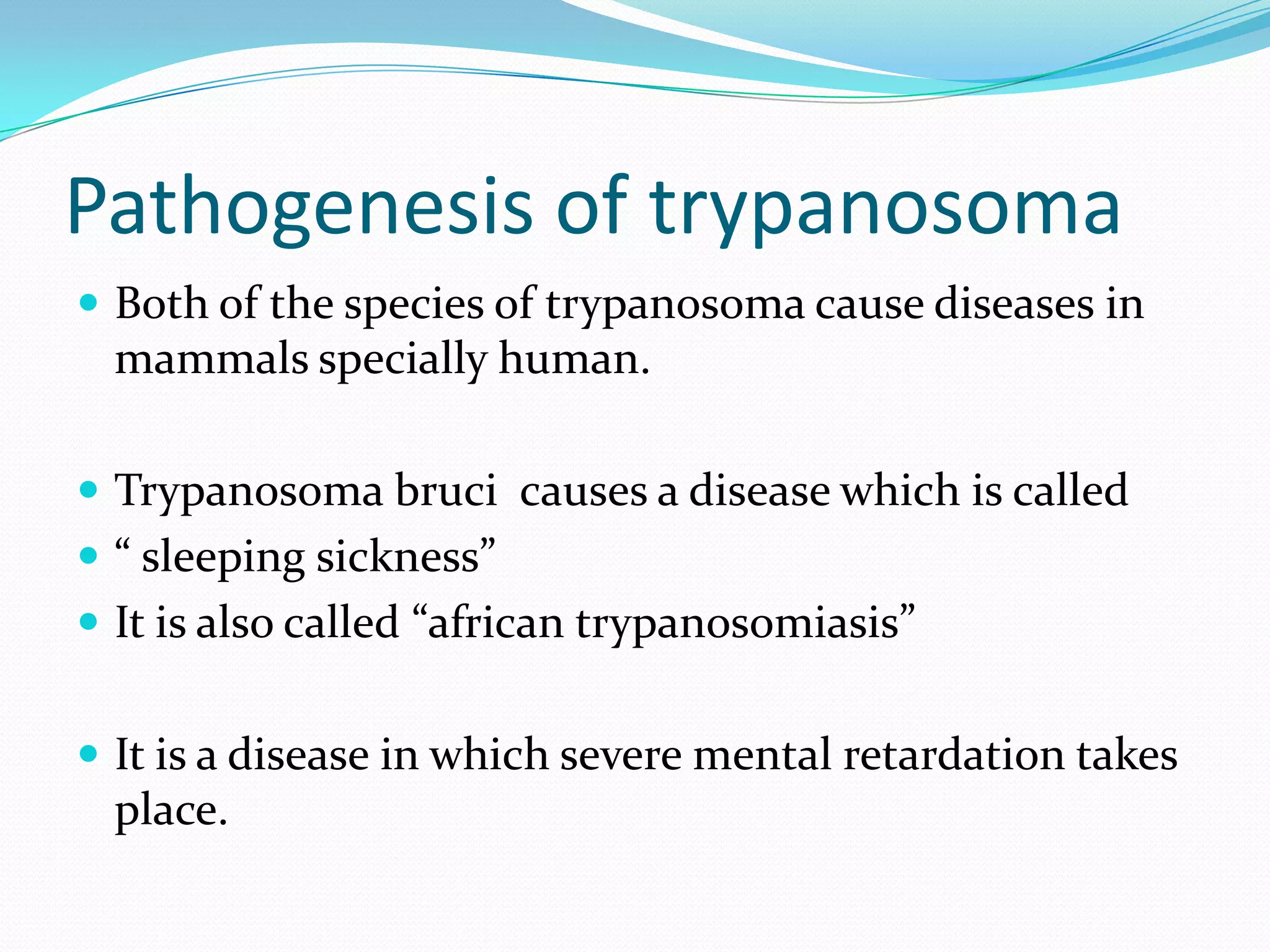 Trypanosoma | PPTX