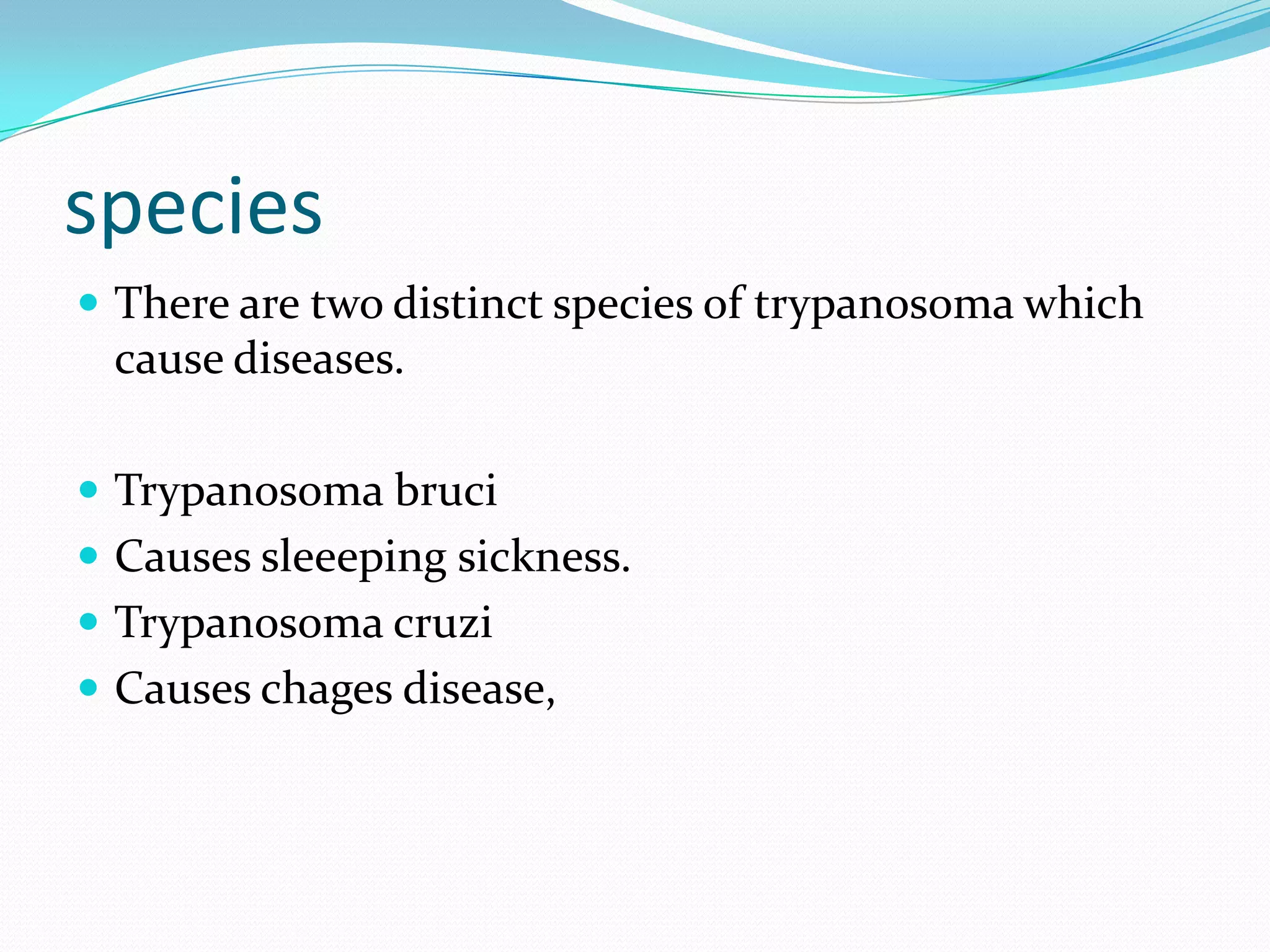 Trypanosoma | PPTX