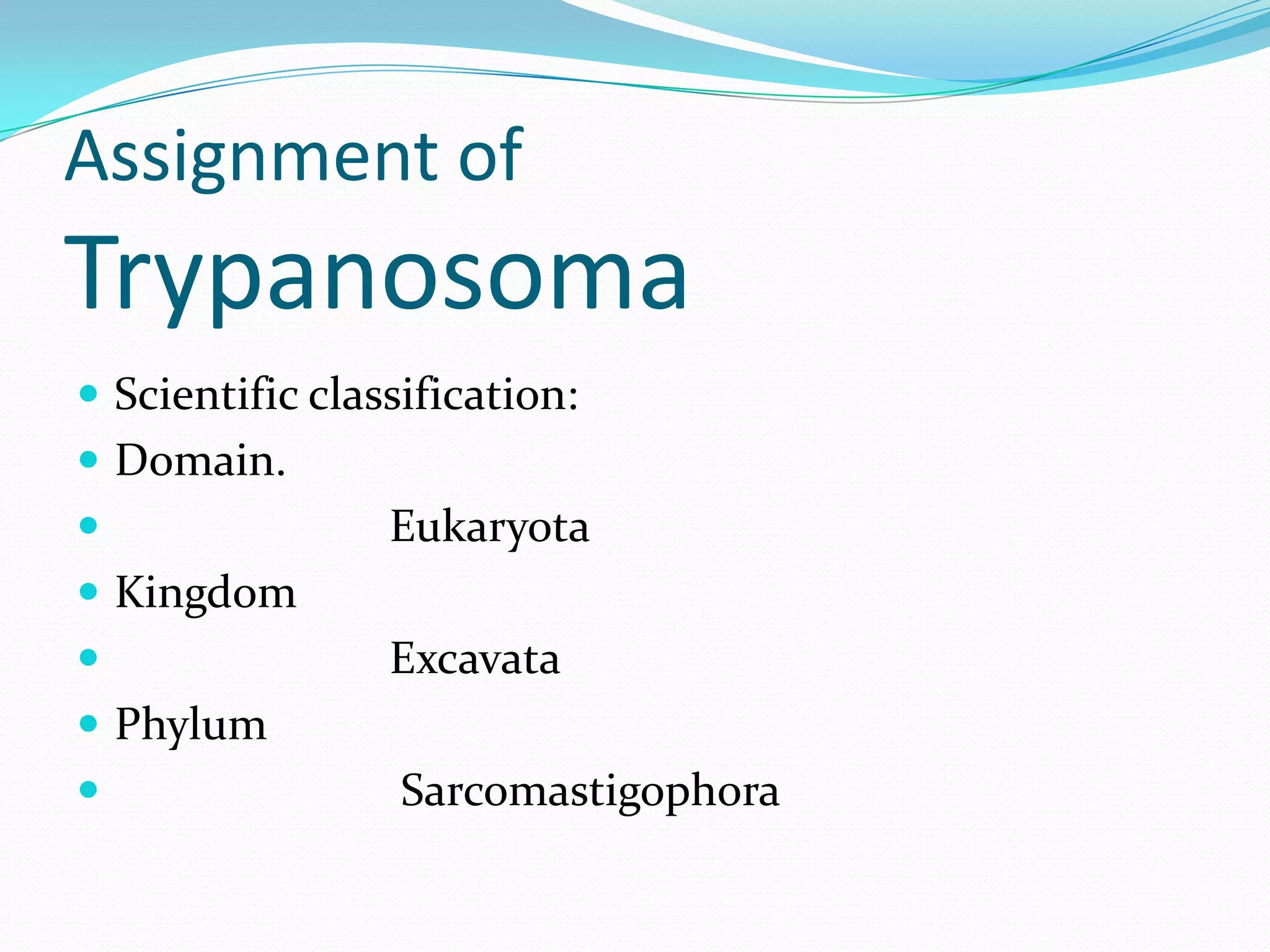 Trypanosoma | PPTX
