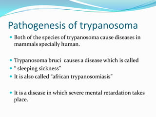 Trypanosoma | PPTX