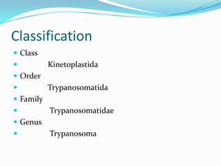 Trypanosoma | PPTX