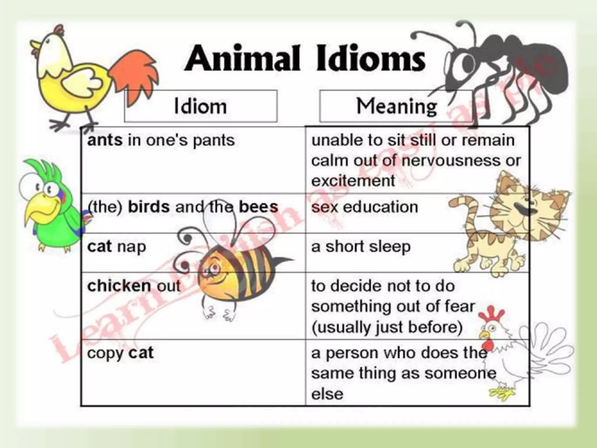 Idioms | PPTX