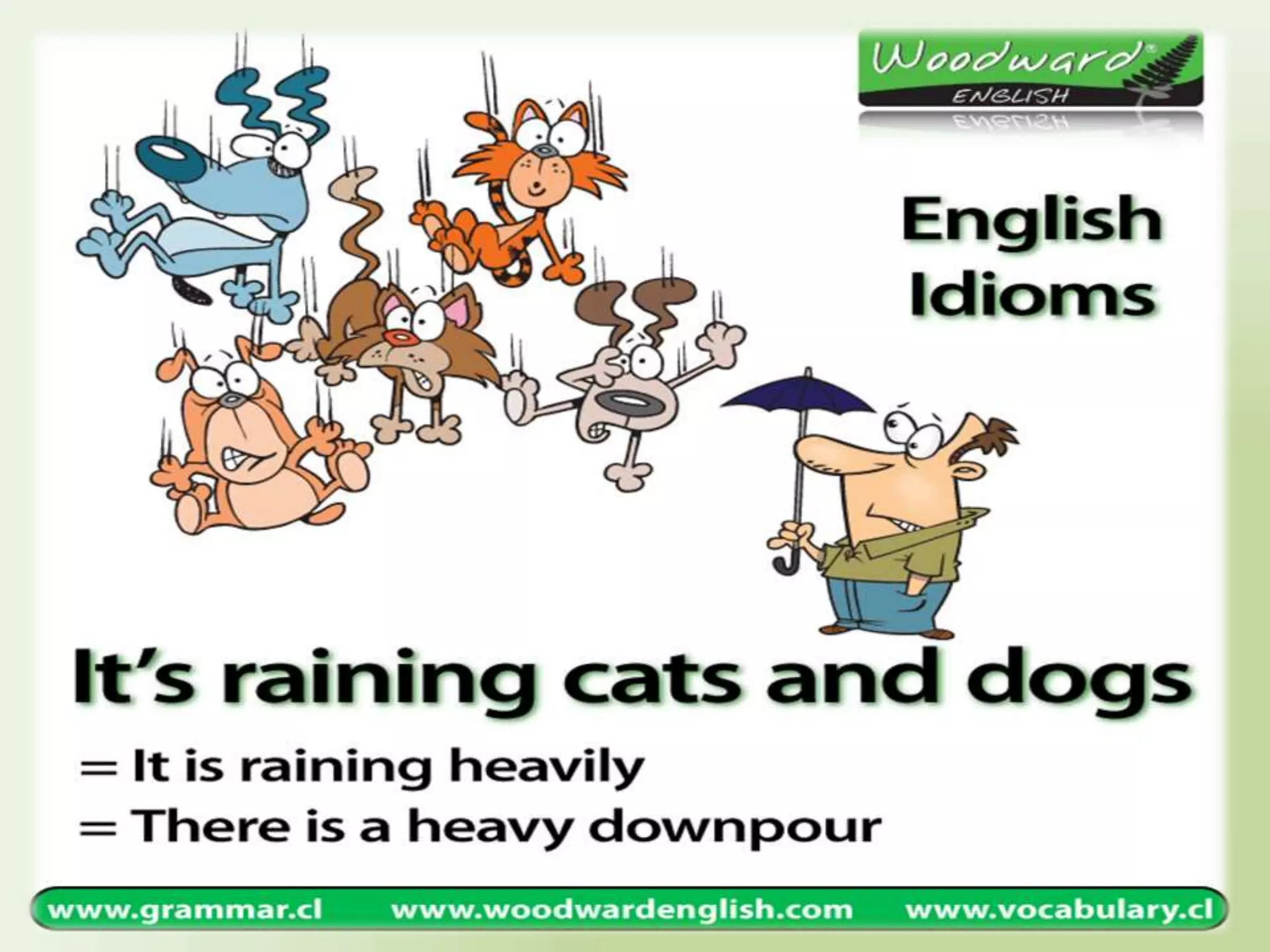 Idioms | PPTX | Books and Literature