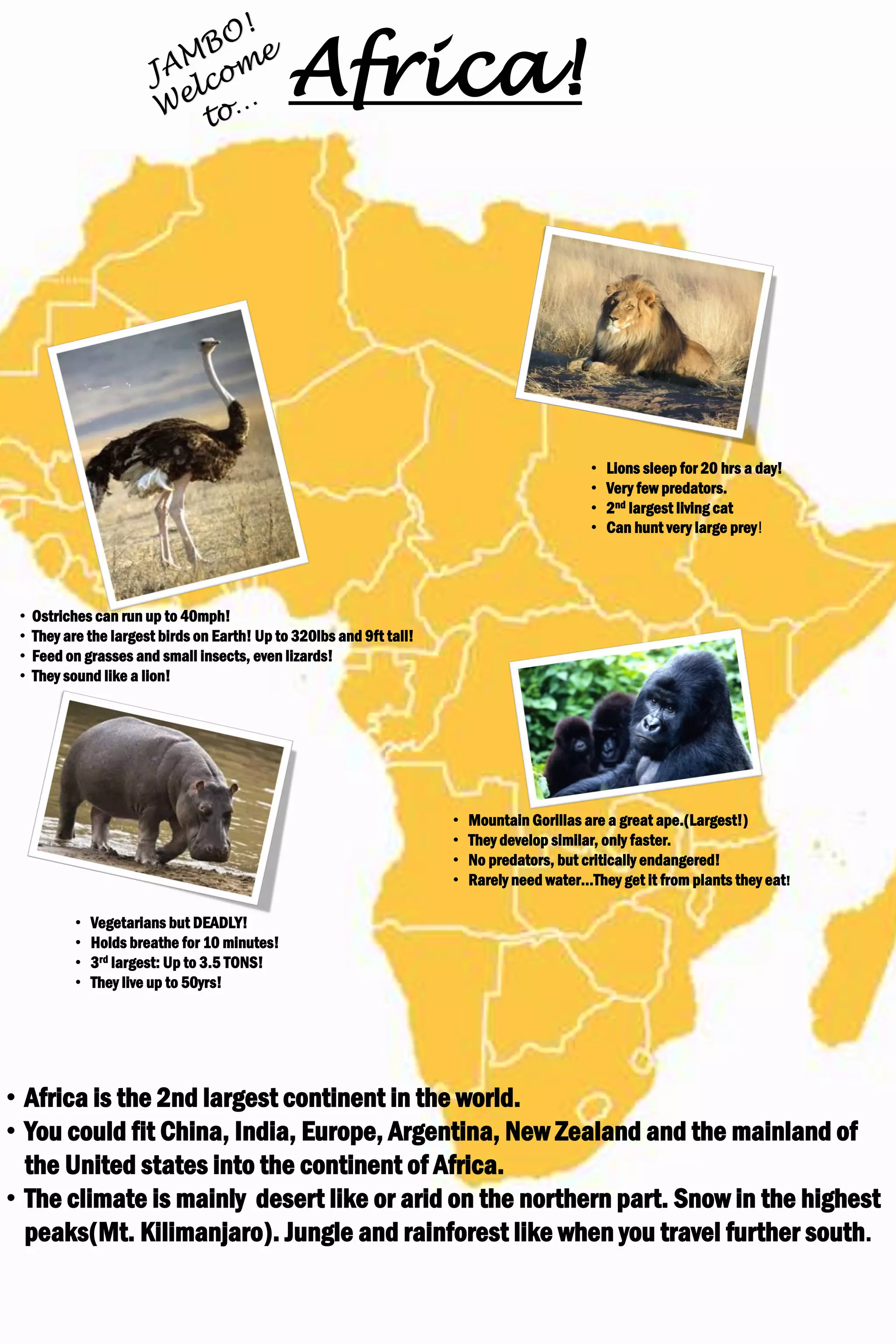 Presentation1 | PPTX