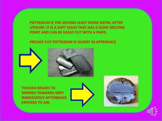 Potassium | PPT