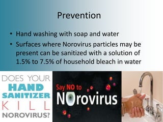 Norovirus | PPTX