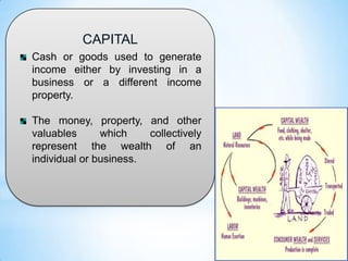 HUMAN CAPITAL | PPTX