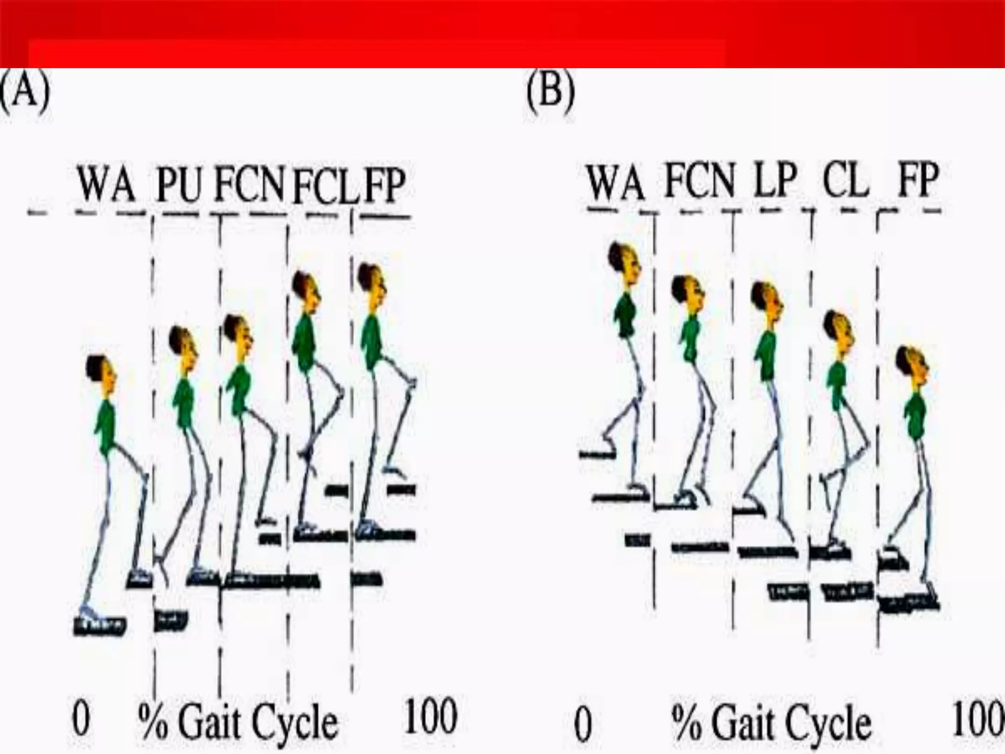 biomechanics of stair climbing | PPTX