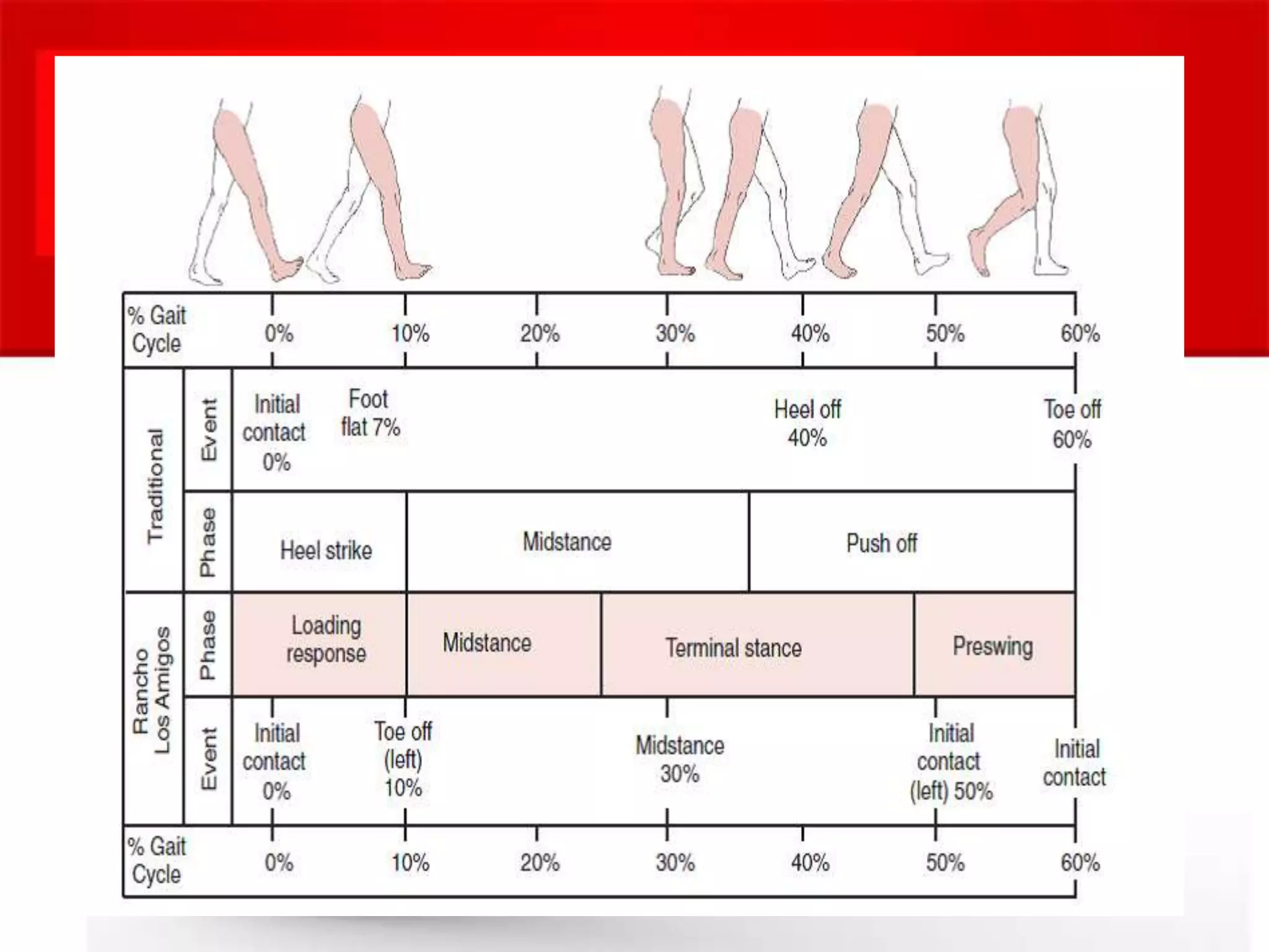 biomechanics of stair climbing | PPTX