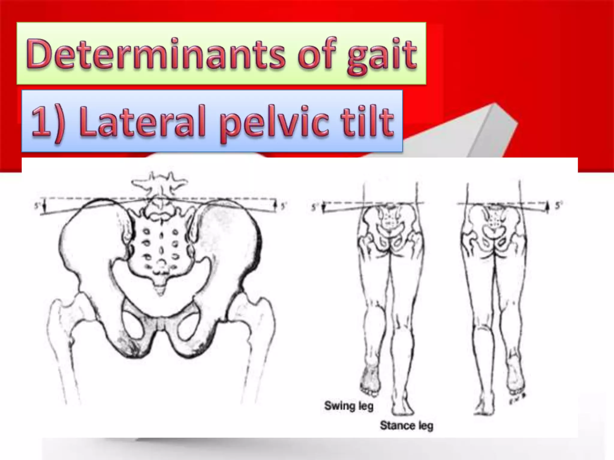 biomechanics of stair climbing | PPTX