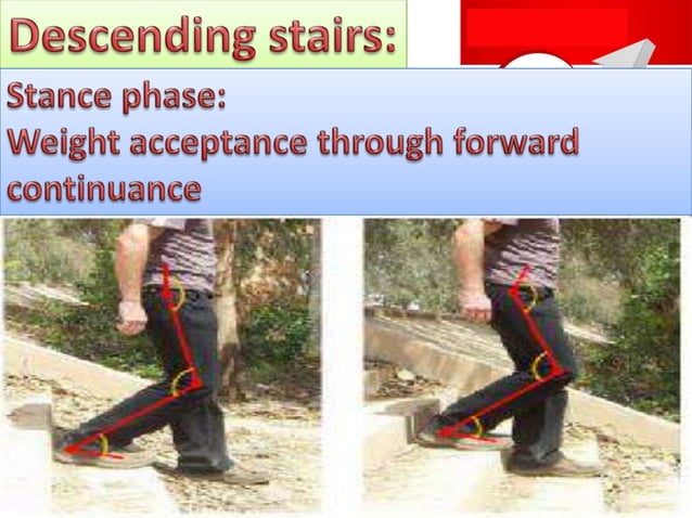 biomechanics of stair climbing | PPTX