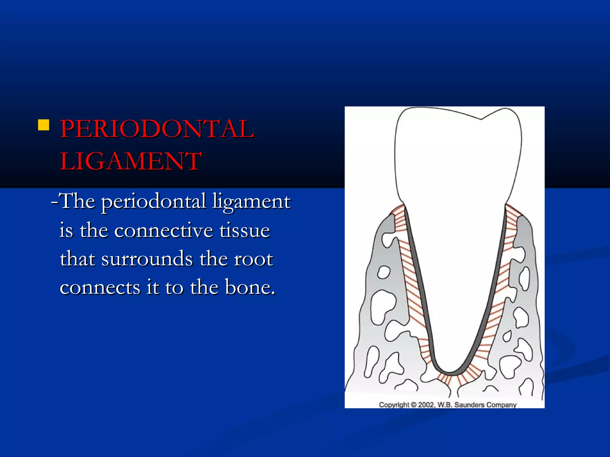 Aggressive Periodontitis | PPT