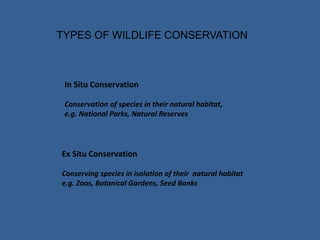A BRIEF OVERVIEW ON WILDLIFE MANAGEMENT | PPTX