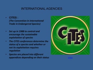 A BRIEF OVERVIEW ON WILDLIFE MANAGEMENT | PPTX