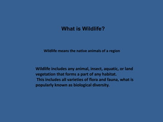 A BRIEF OVERVIEW ON WILDLIFE MANAGEMENT | PPTX